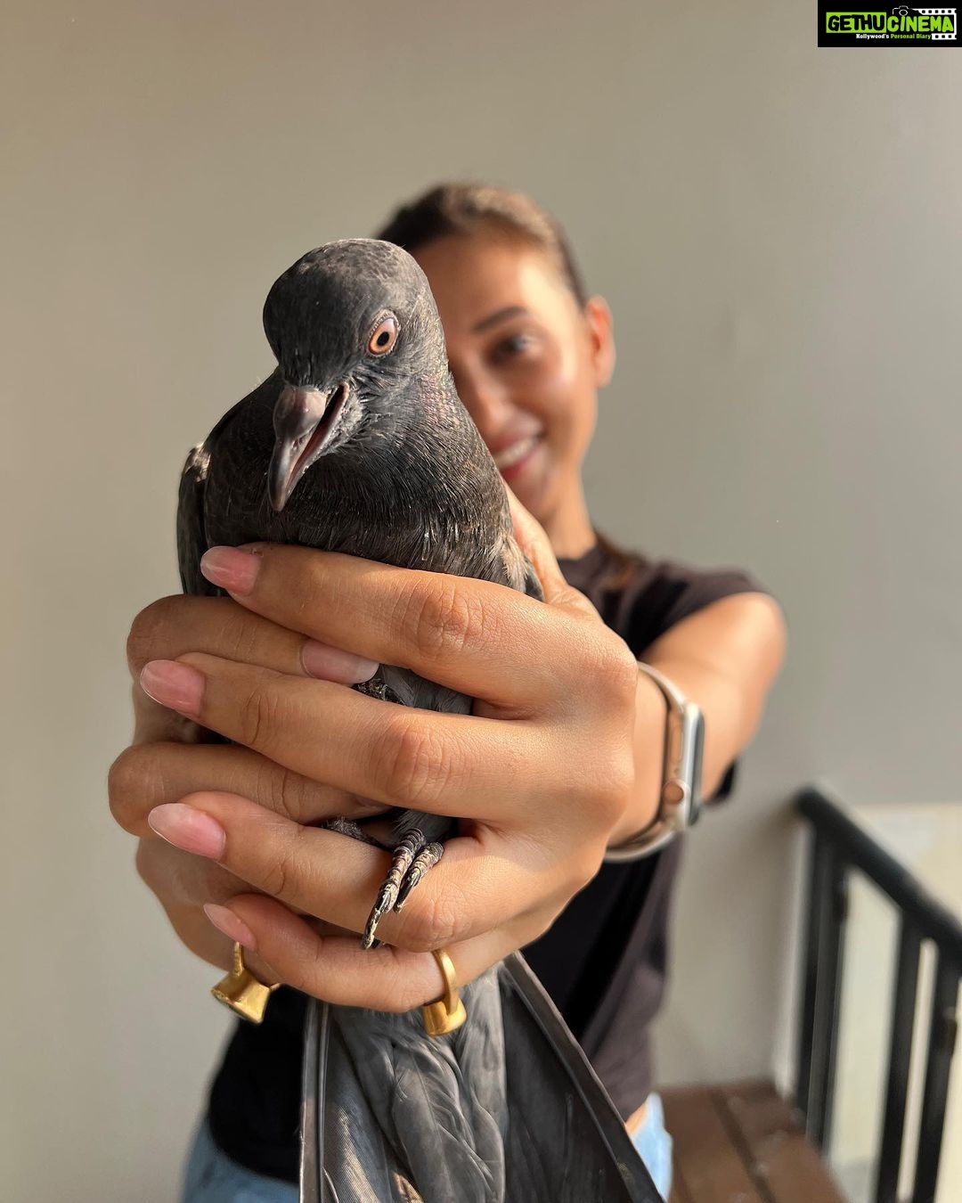 Actress Mimi Chakraborty HD Instagram Photos and Wallpapers May 2023 ...