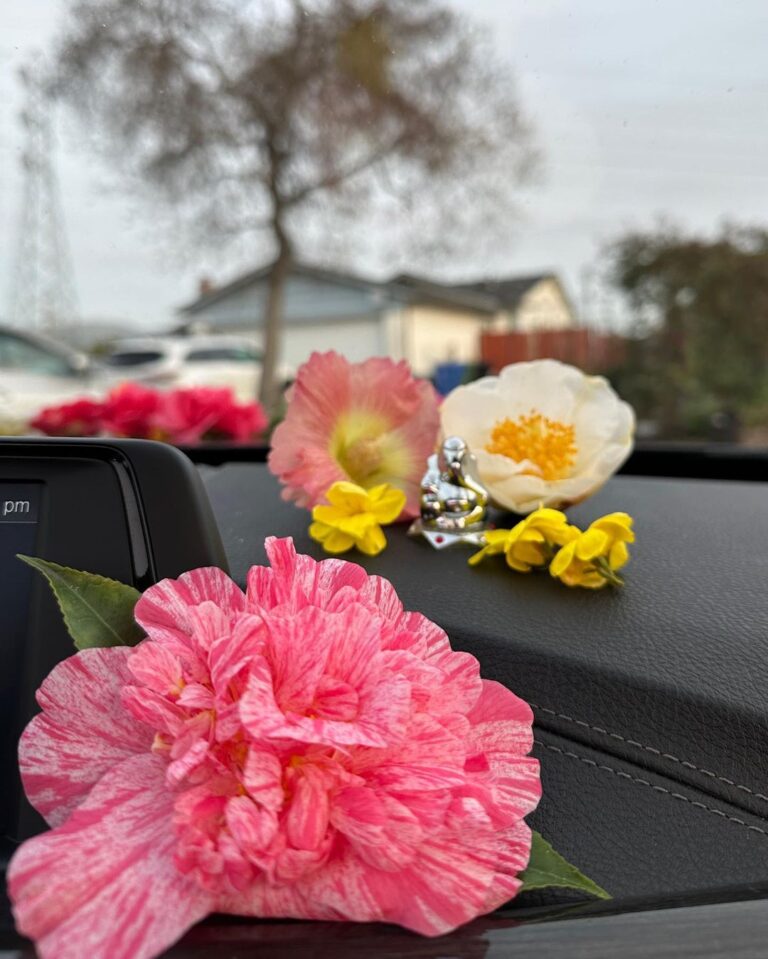 Singer Pragathi Guruprasad Wiki, Biography, Age, Gallery, Spouse and more