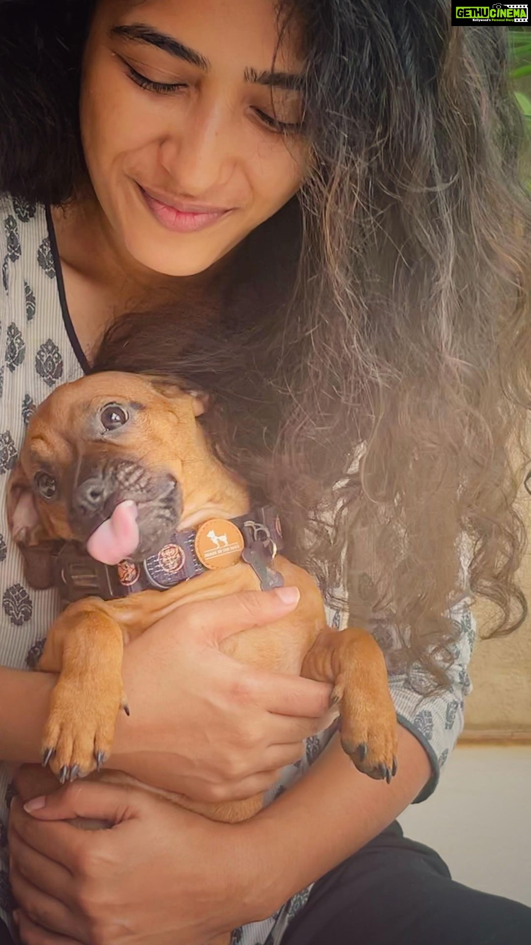 Actress Roshni Prakash HD Instagram Photos and Wallpapers August 2022 | Gethu Cinema