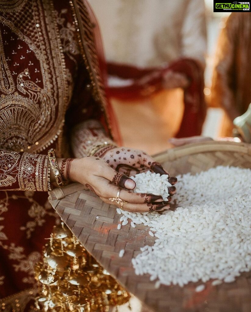 Wamiqa Gabbi Instagram - Mere Baagaan Di Koyal Kahaan Challi Eh? Dharmi ...