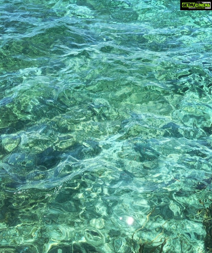 Sanjeeta Bhattacharya Instagram – The aquamarine waters and golden ...