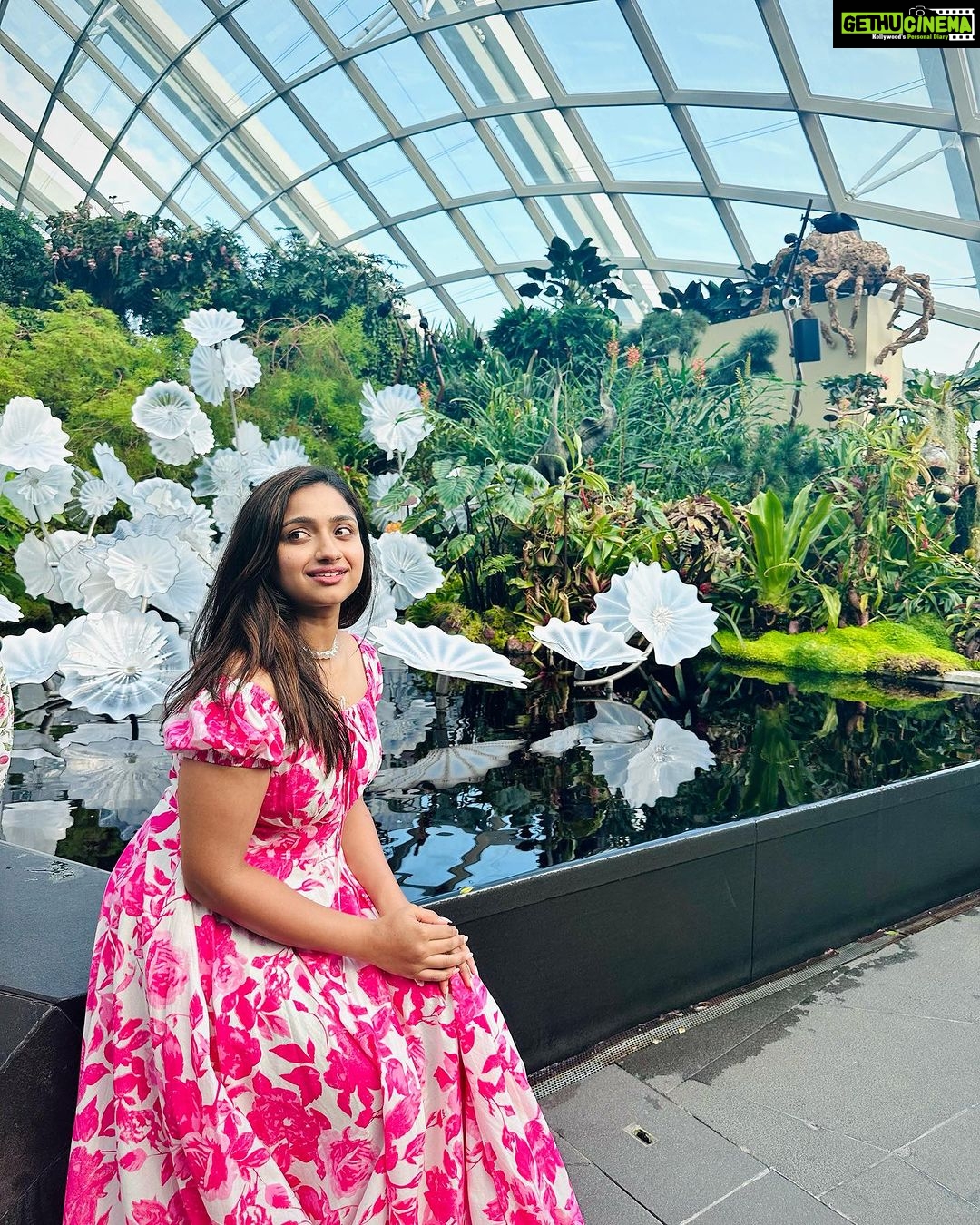 Aashika Padukone Instagram – Finding solace amidst nature’s embrace🌸 #travelgram #singapore # ...