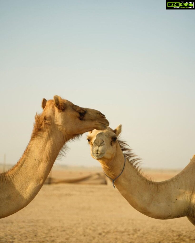 Actress Ivana HD Instagram Photos and Wallpapers September 2023 | Gethu ...