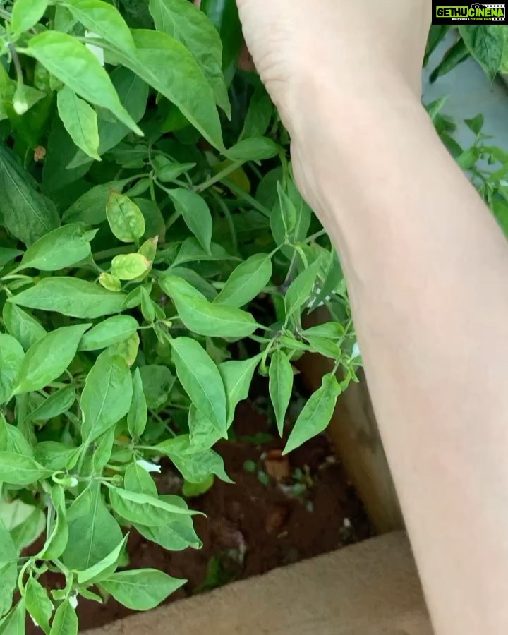 Swathi Reddy Instagram – But first, lemme take a selfi.. scratch that ...