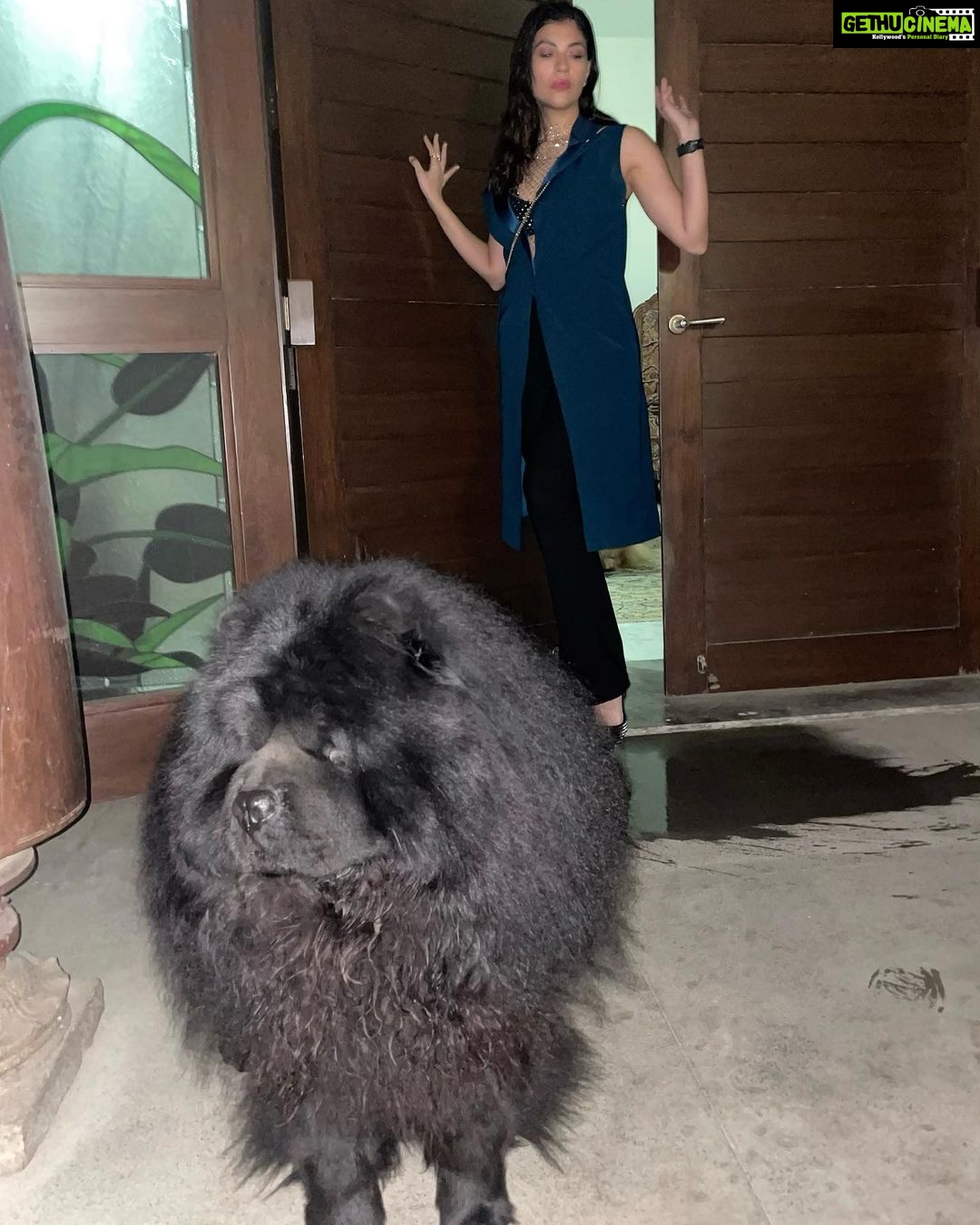 Archana Vijaya Instagram – Chow chow pow wow ! 💥 #aboutlastnight in ...