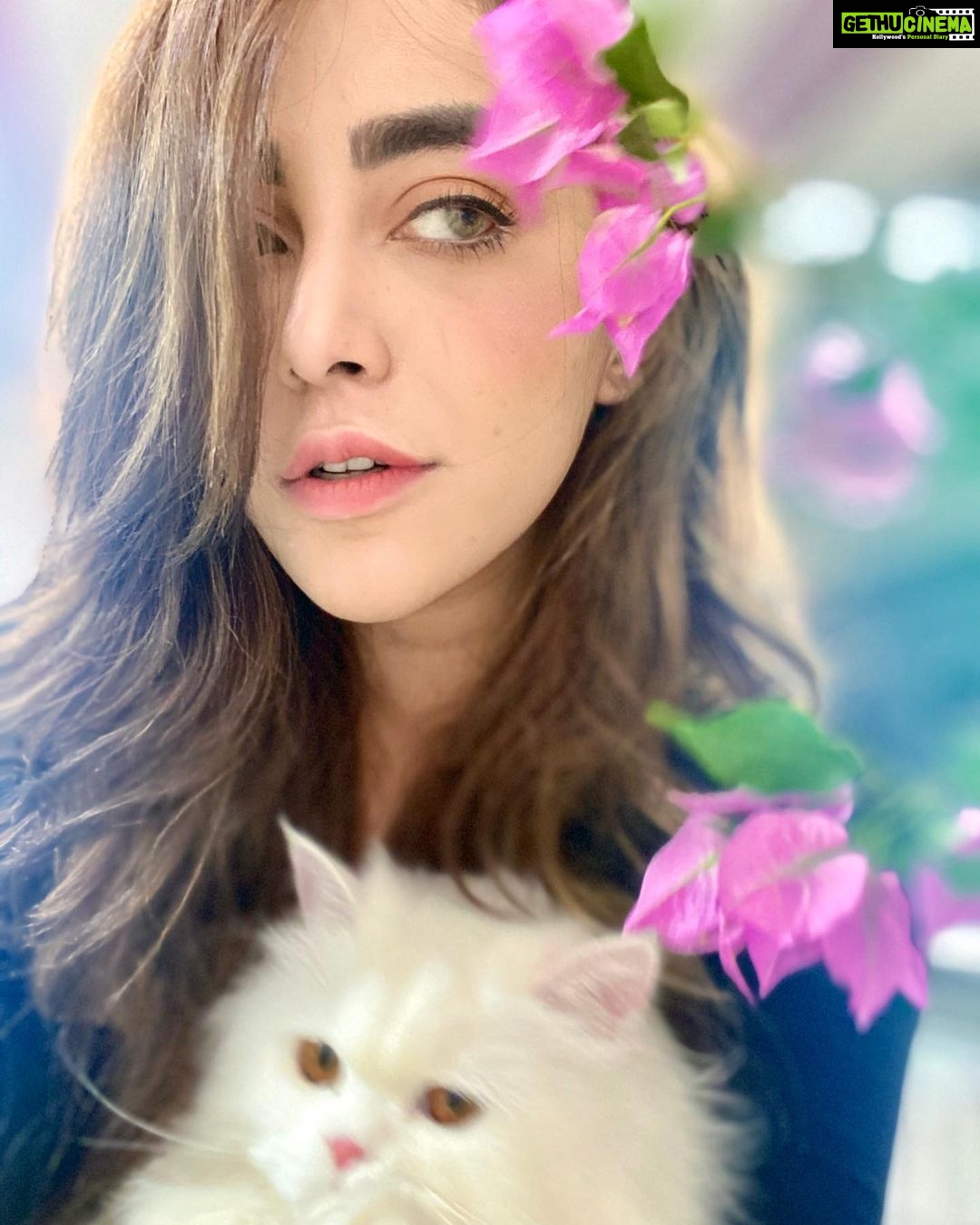 Angela Krislinzki Instagram – Happy quarantine… who else enjoying ...