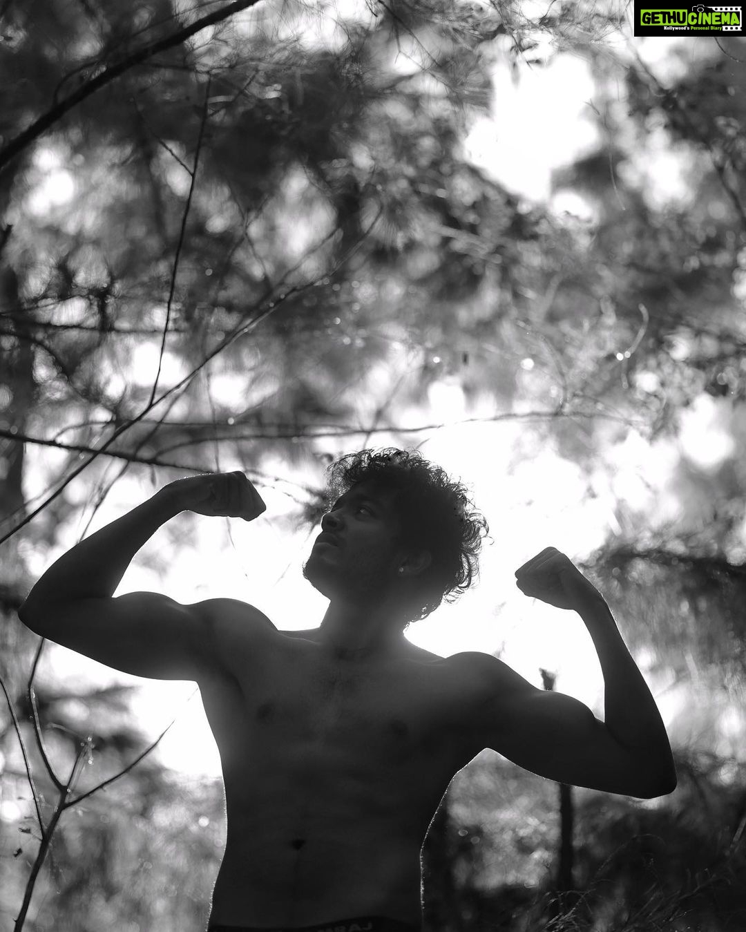 Nixen Instagram – It will all make sense one day.! Pine Forest | Gethu ...