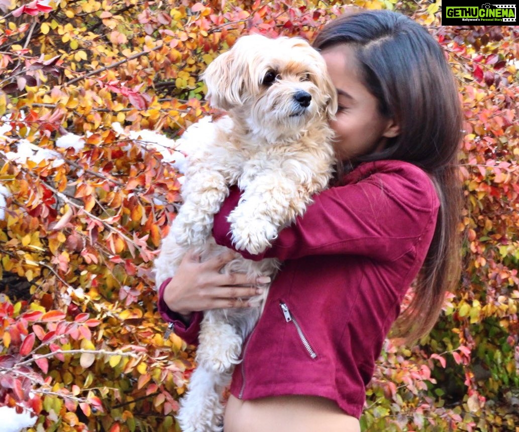 Actress Priya Banerjee HD Instagram Photos and Wallpapers October 2023 ...