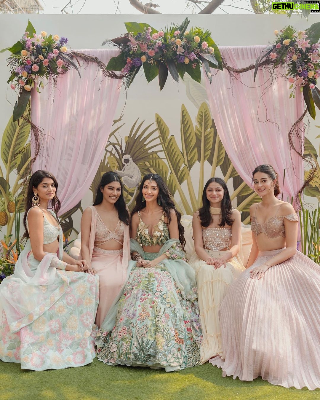 Alanna Panday Wiki, Biography, Age, Gallery, Spouse and more