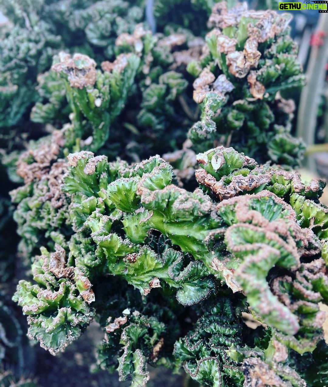 Actress Ariah Agarwal HD Instagram Photos and Wallpapers April 2023 ...