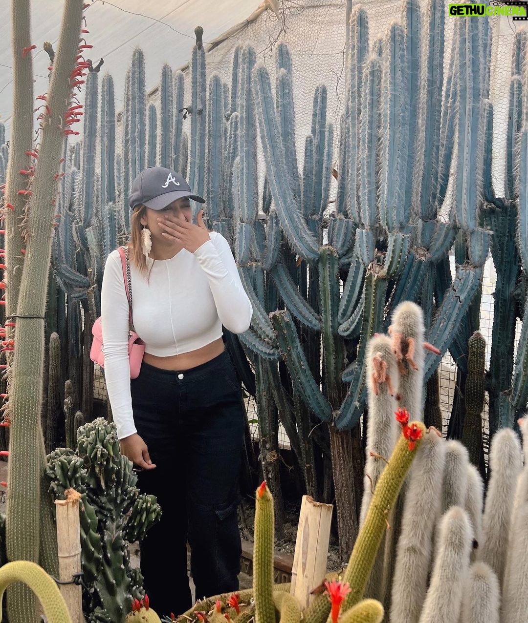 Actress Ariah Agarwal HD Instagram Photos and Wallpapers April 2023 ...