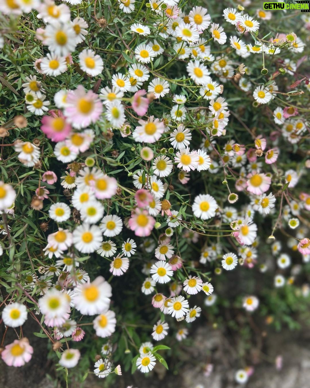 Actress Ariah Agarwal HD Instagram Photos and Wallpapers April 2023 ...