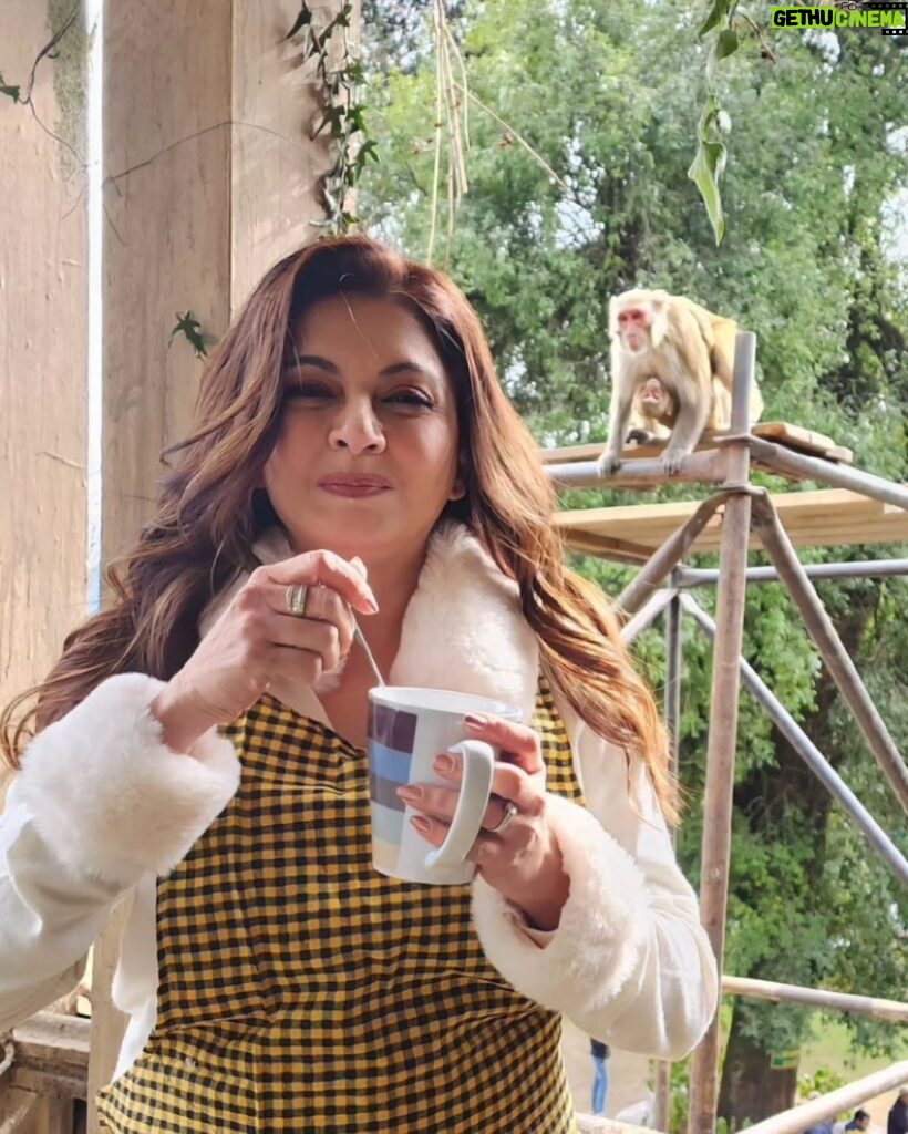 Actress Bhagyashree HD Instagram Photos and Wallpapers November 2023 | Gethu Cinema