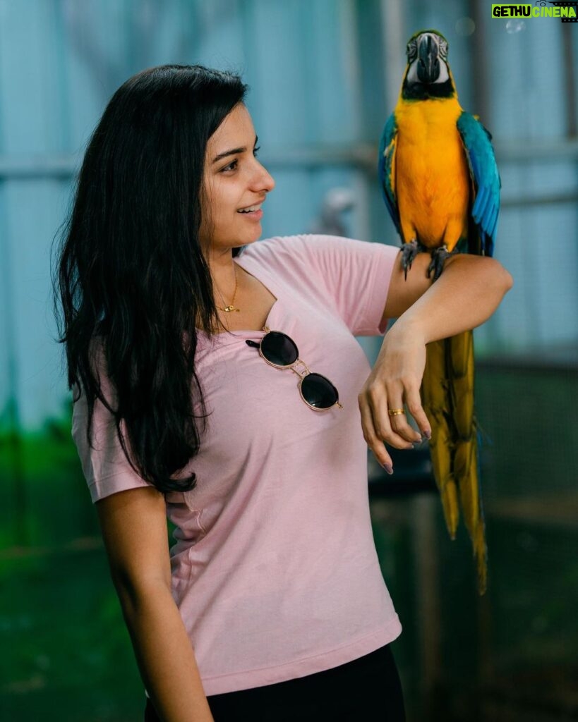 Actress Lavanyaa HD Instagram Photos and Wallpapers June 2023 | Gethu Cinema