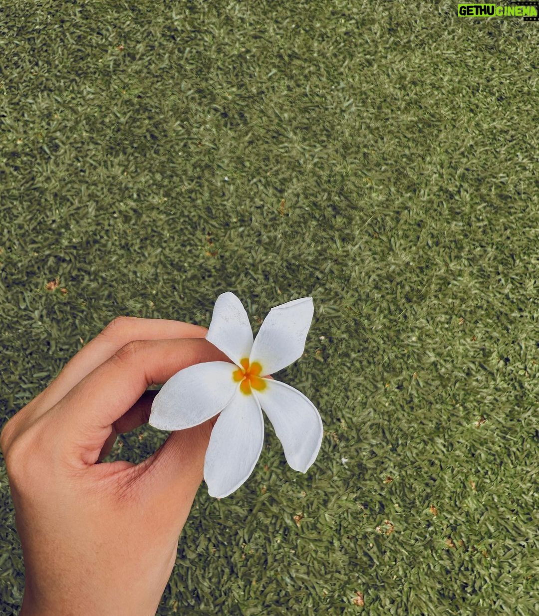 Navya Naveli Nanda Instagram – 🌼💚🌿 | Gethu Cinema