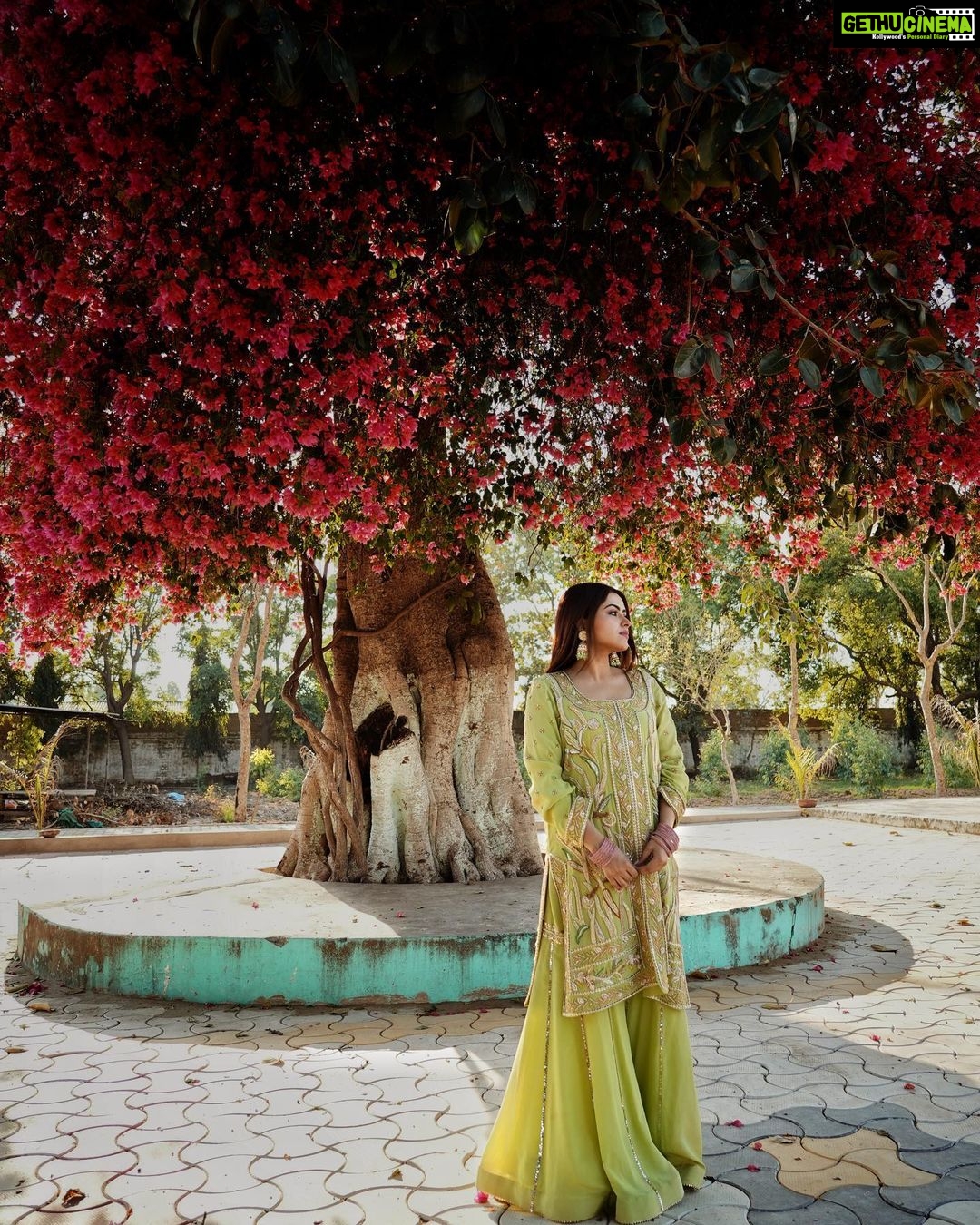 Actress Simi Chahal HD Instagram Photos and Wallpapers April 2023 ...