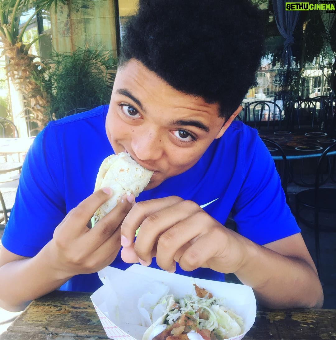 Addison Timlin Instagram – Basically on a food tour. | Gethu Cinema