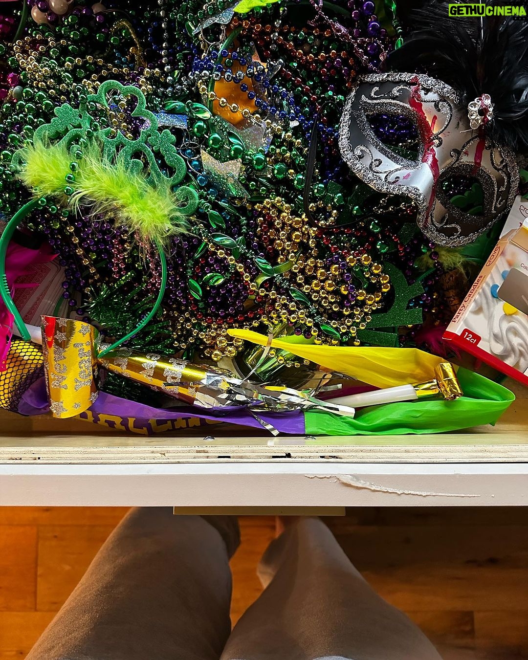 Alexandra Daddario Instagram – Between the thunder and Mardi Gras ...
