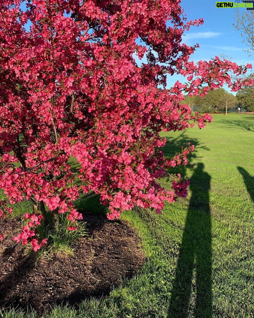 Alice Lee Instagram – 💗💙🤍 | Gethu Cinema