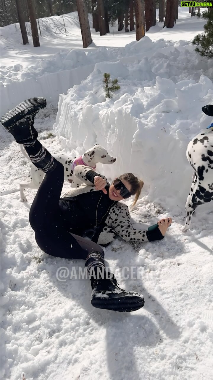 Actress Amanda Cerny HD Instagram Photos and Wallpapers January 2024 ...