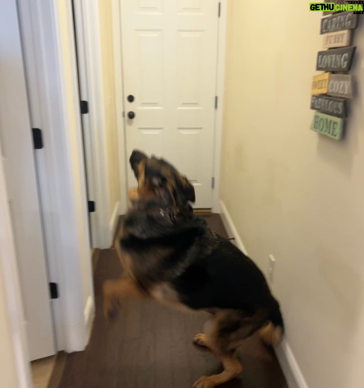 Andrew Neighbors Top 53 Instagram Photos and Posts | Gethu Cinema