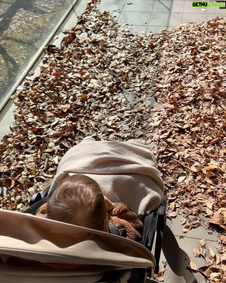 Actress Barbara Akemi Katsuki HD Instagram Photos and Wallpapers ...