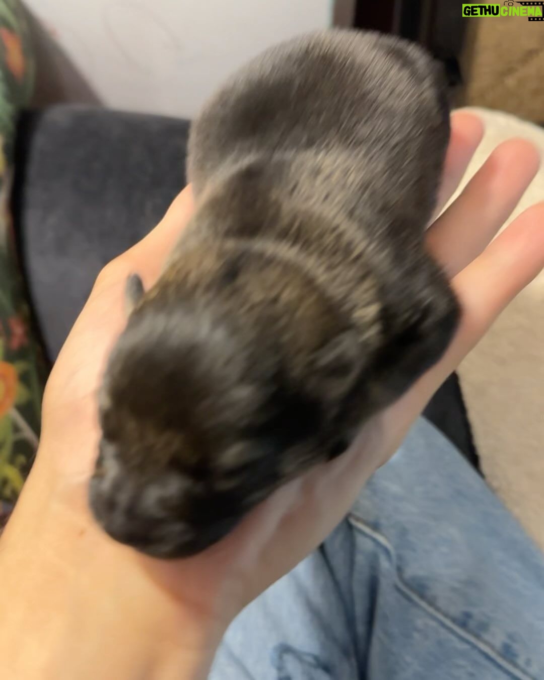 Actor Camilo HD Instagram Photos and Wallpapers October 2023 | Gethu Cinema