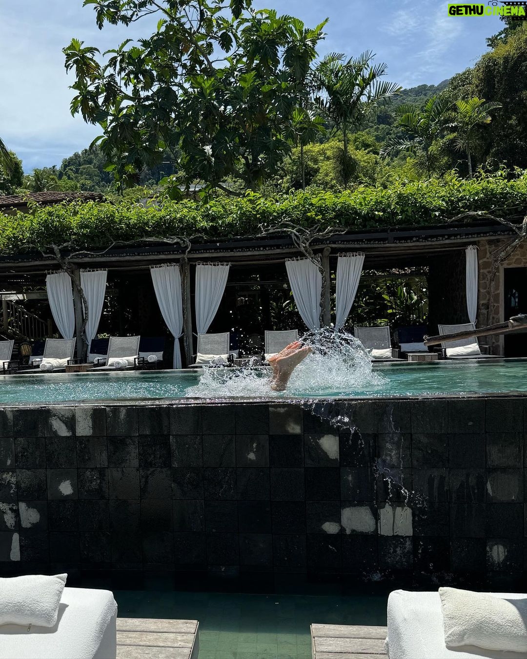 Chico Felitti Instagram – Após um penoso processo de domesticação ...