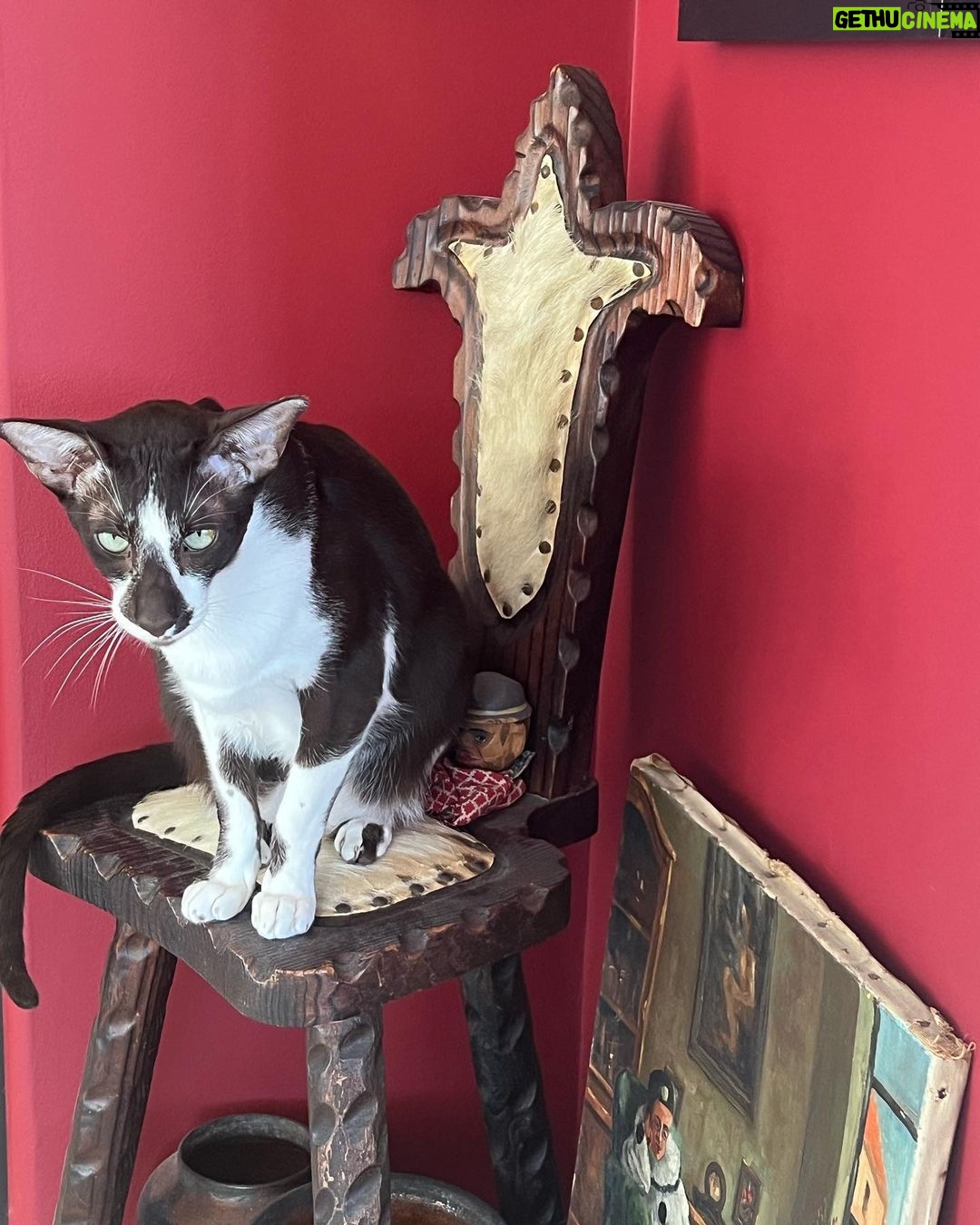 Doja Cat Instagram – boys | Gethu Cinema