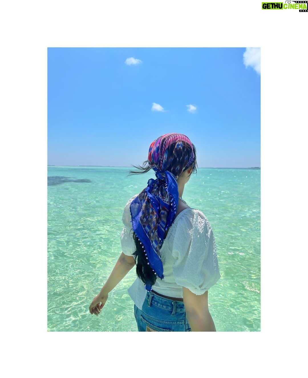 Drishya Raghunath Instagram – Sea shells on the sea shore 🐚 Travel ...