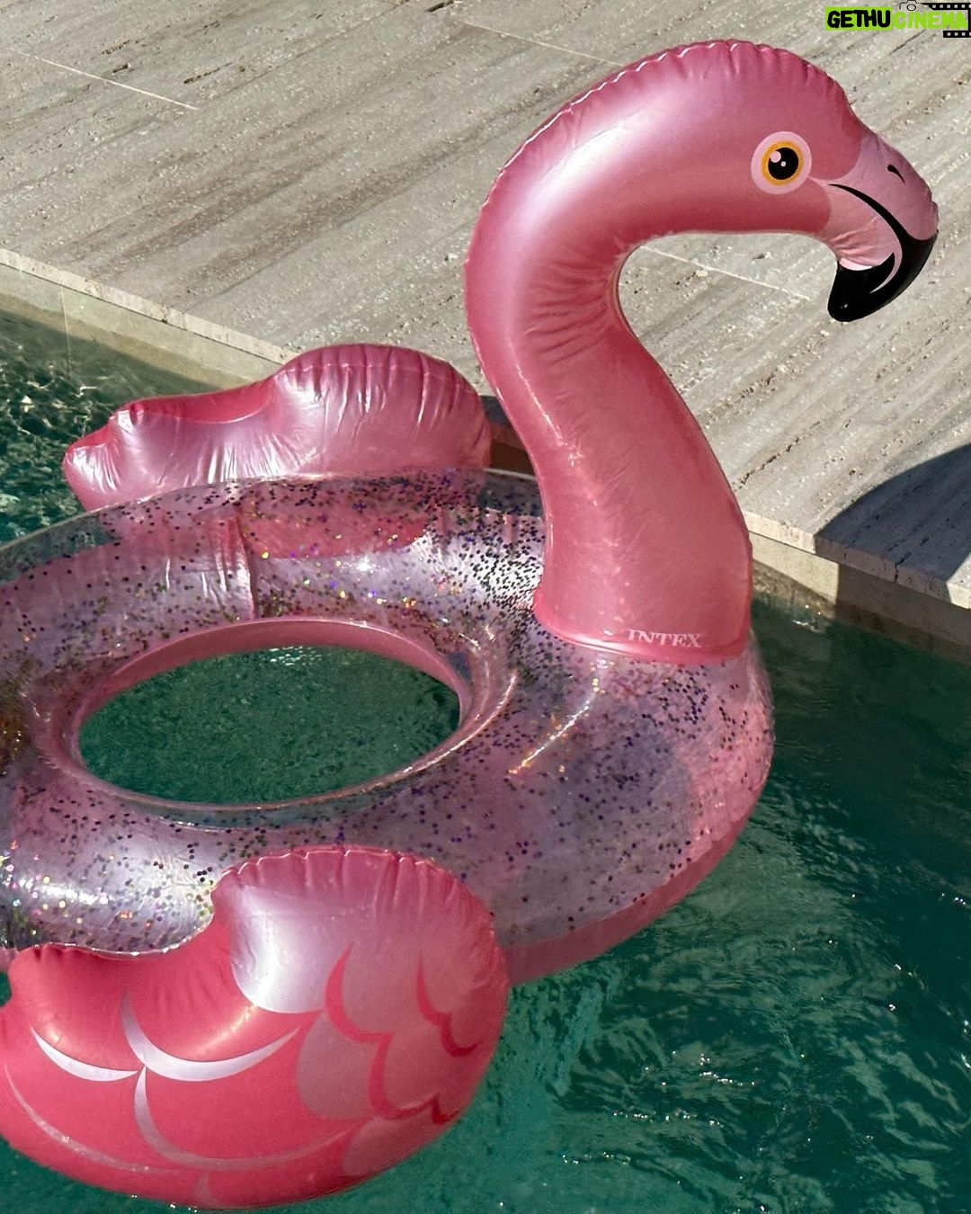 Georgina Rodríguez Instagram – 🎨 | Gethu Cinema