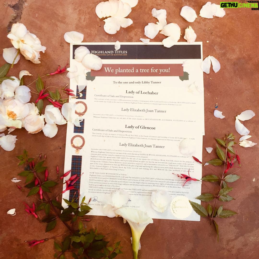 Libby Tanner Instagram – Generosity at the gateway to Glasgow @Tr0ll ...