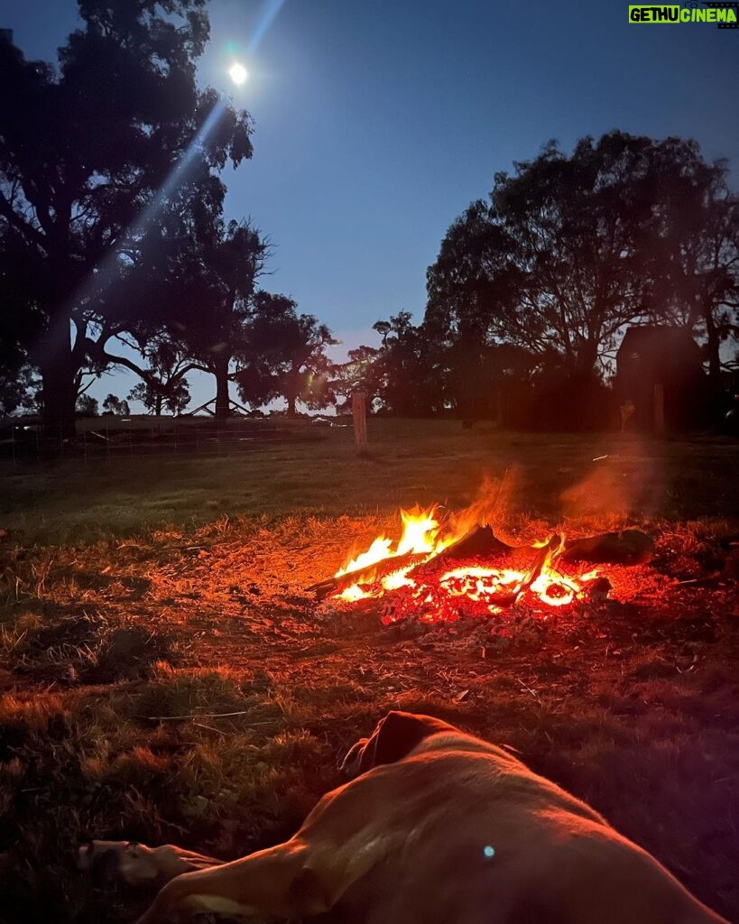 Actress Libby Tanner HD Instagram Photos and Wallpapers January 2024 ...