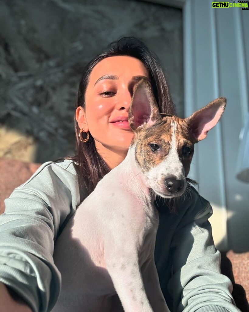 Actress Mimi Chakraborty HD Instagram Photos and Wallpapers December ...
