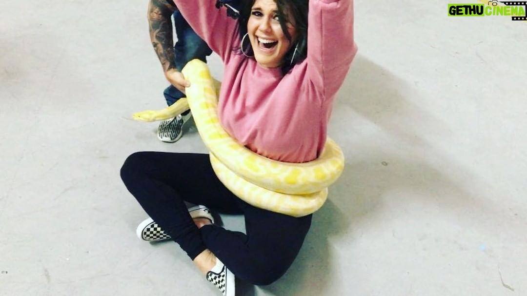 Molly Tarlov Instagram – I miss Lemonade most at night, I can still ...