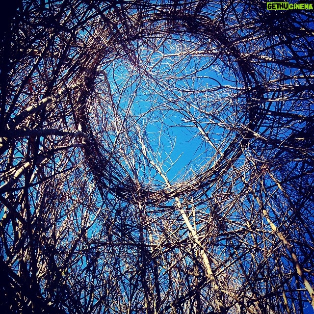 Randy Harrison Instagram – Nashville | Gethu Cinema