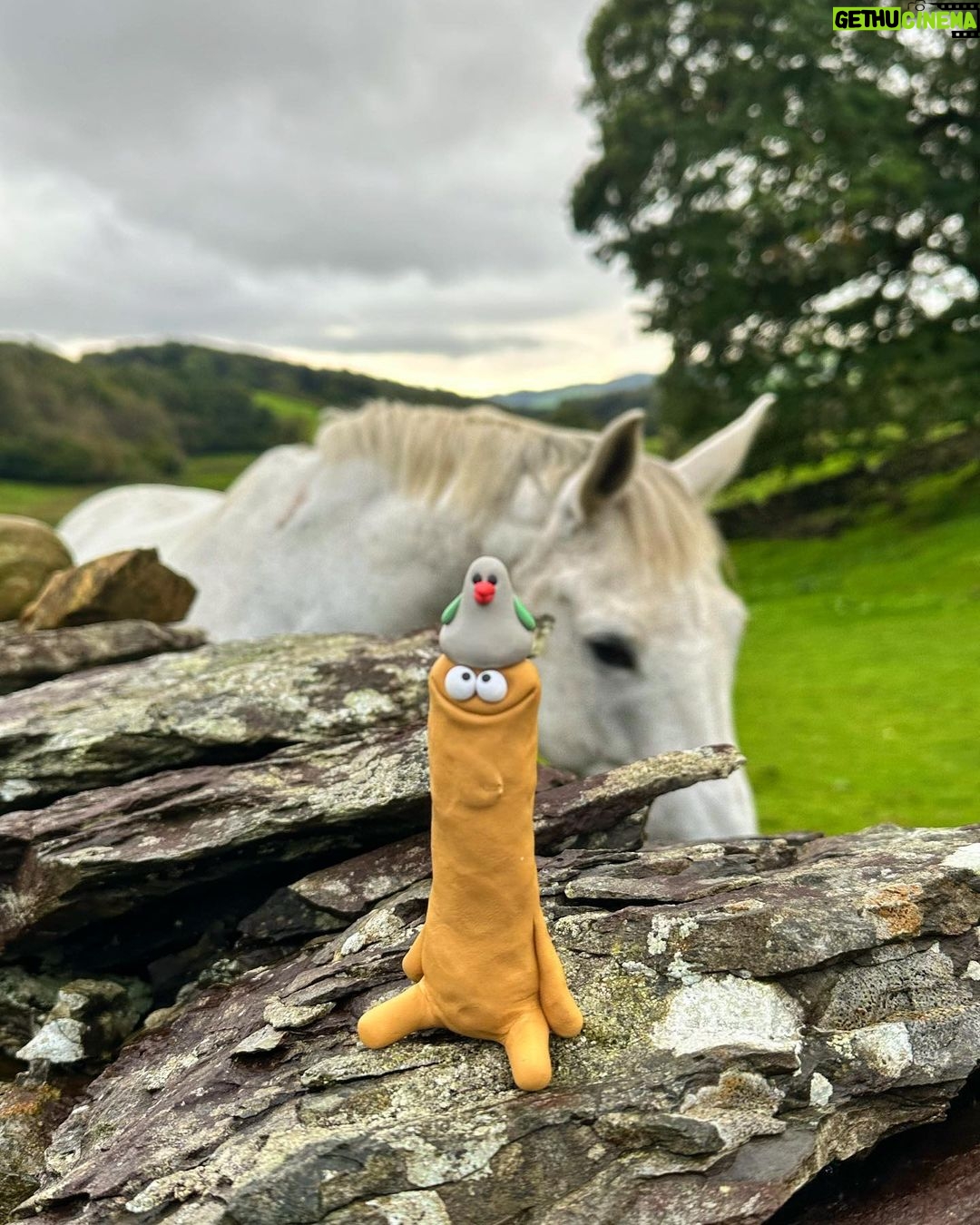 Actor Rich Webber HD Instagram Photos and Wallpapers October 2023 ...