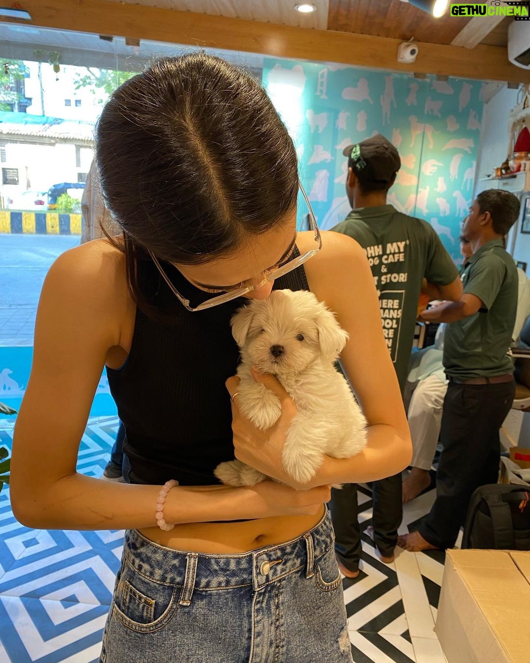 Actress Ruhanika Dhawan HD Instagram Photos and Wallpapers August 2023 ...