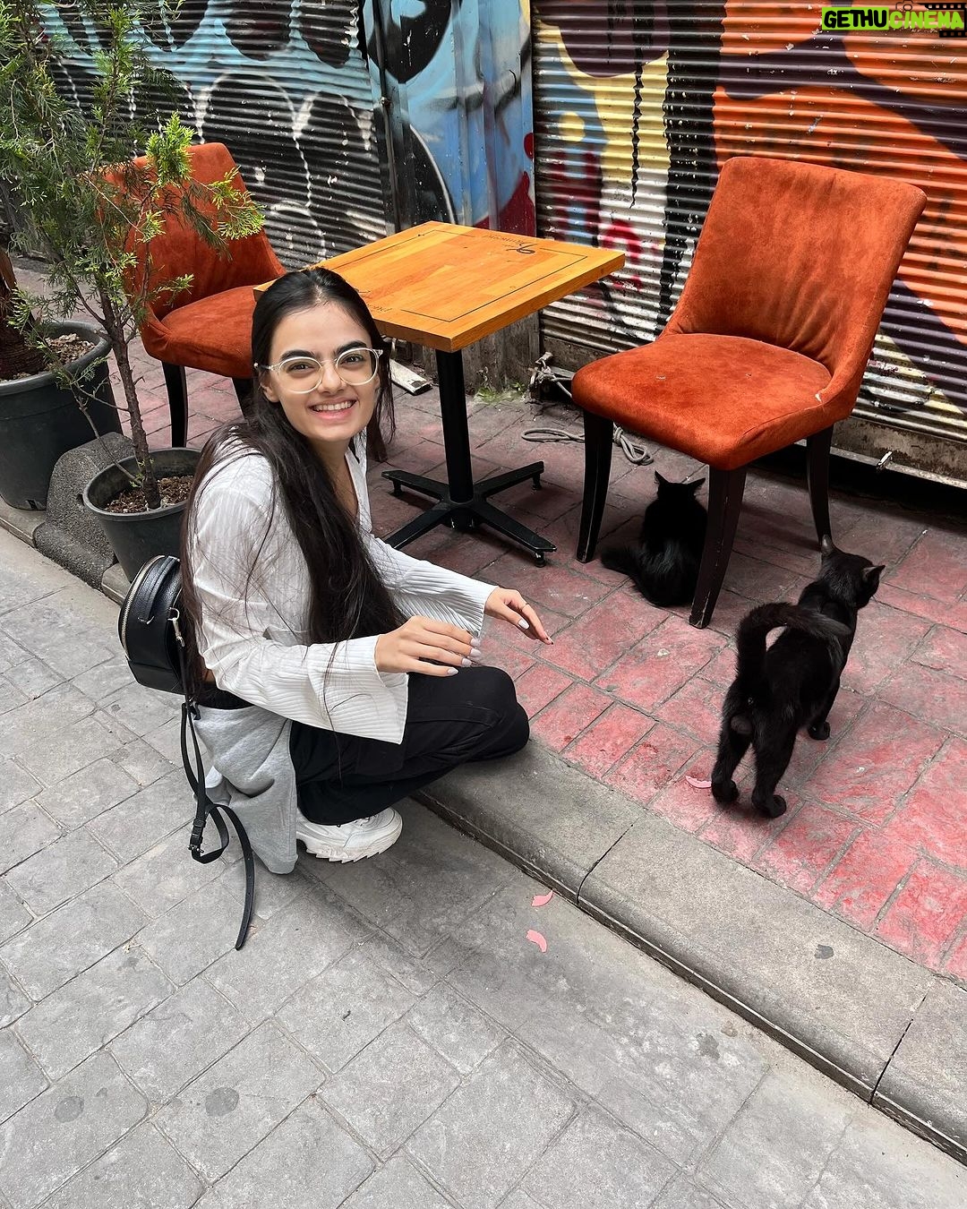 Ruhanika Dhawan Instagram – 2023 in a nutshell, Hello 2024💞 #newyear ...