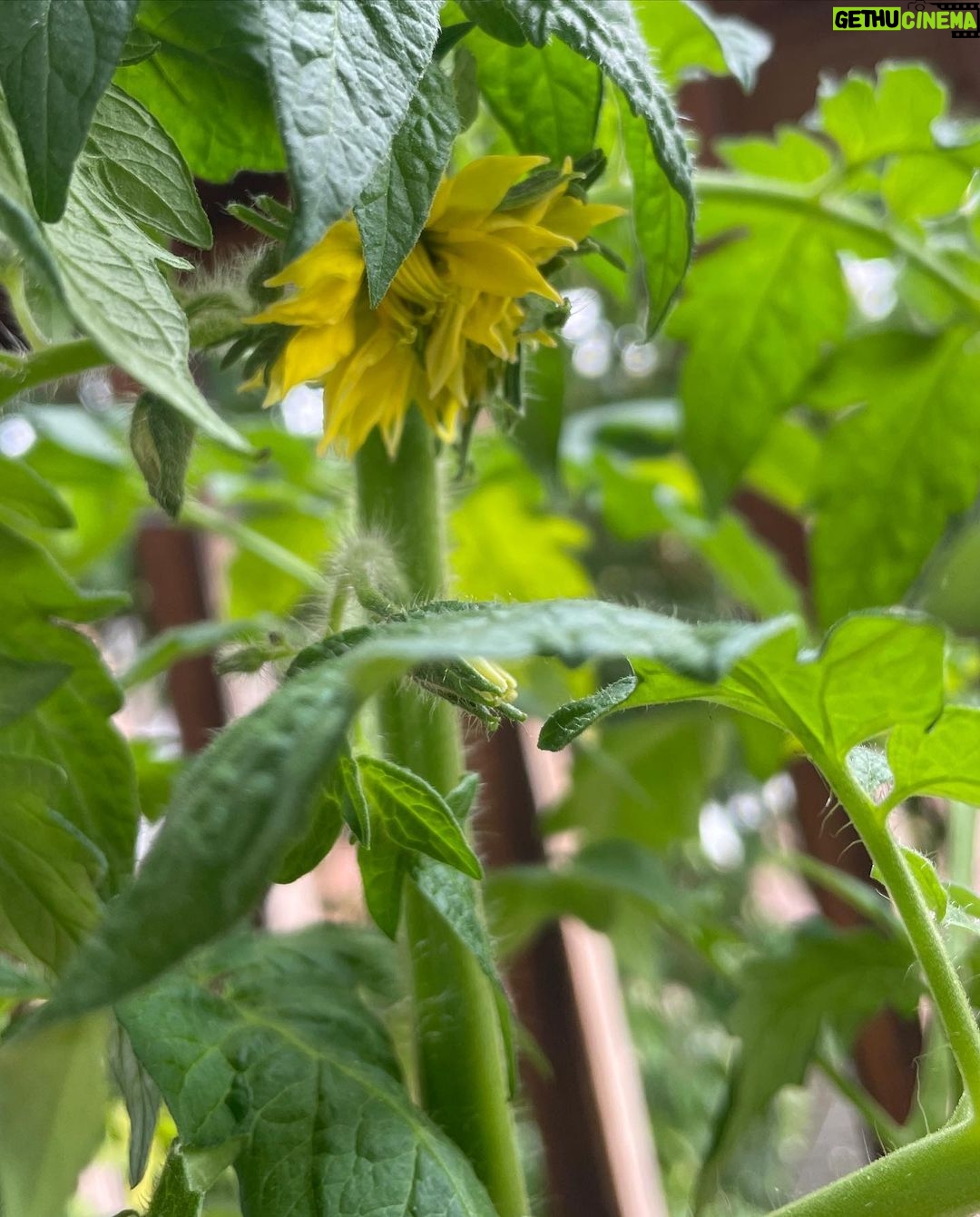 Actress Slight Sounds ASMR HD Instagram Photos and Wallpapers July 2023 ...