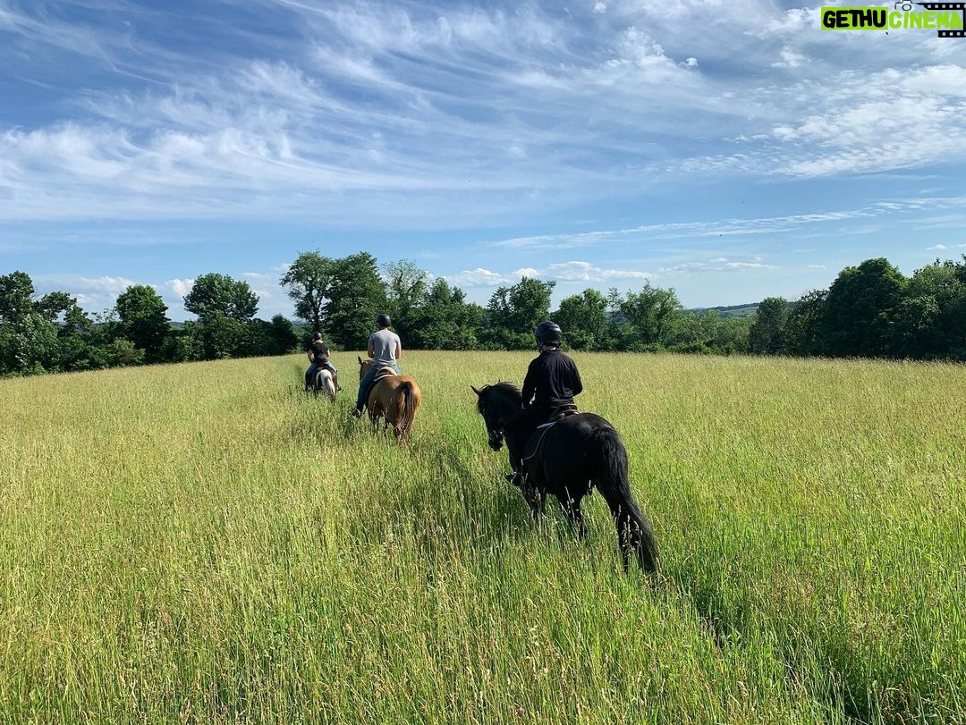 Actor Walton Goggins HD Instagram Photos and Wallpapers September 2022 ...