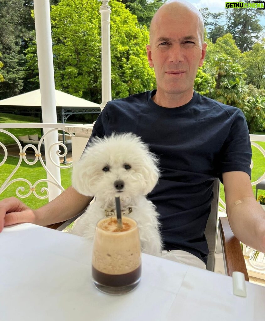 Actor Zinedine Zidane HD Instagram Photos and Wallpapers June 2022 ...
