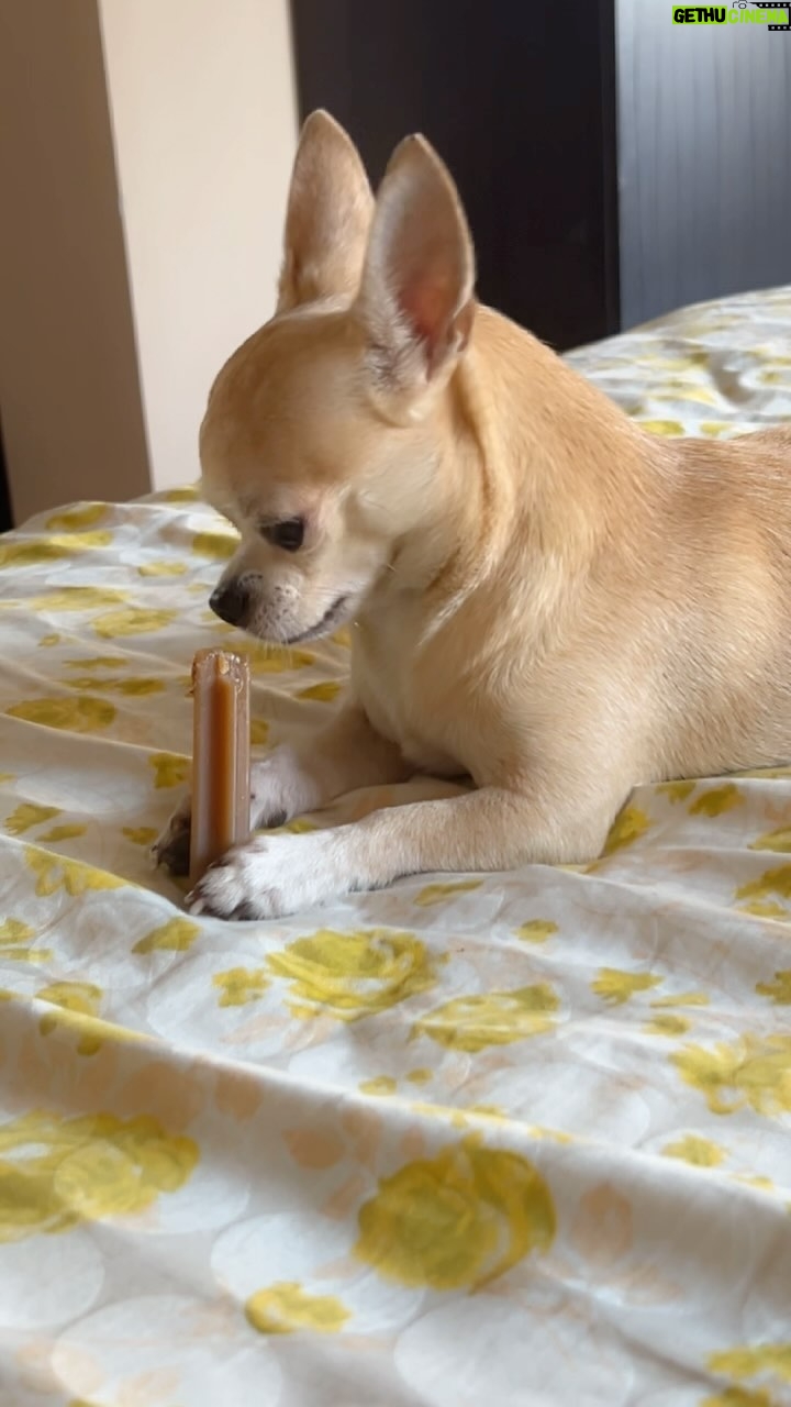 Actress Alika Nair HD Instagram Photos and Wallpapers January 2024 ...