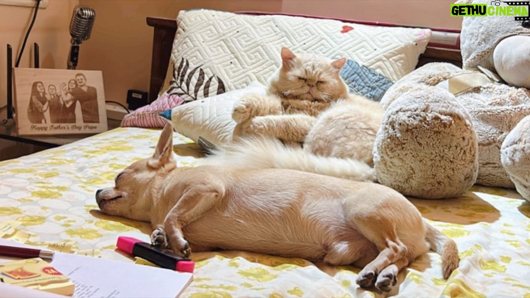 Actress Alika Nair HD Instagram Photos and Wallpapers January 2024 ...