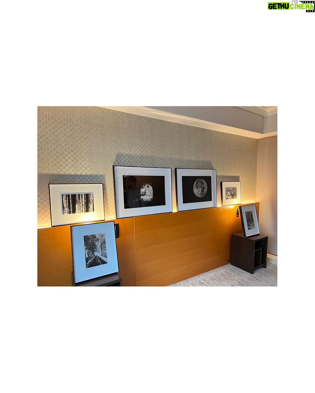 Actress Allison Lin HD Instagram Photos and Wallpapers February 2024 ...