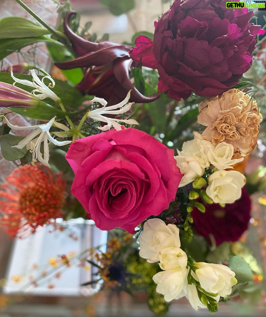 Actress Amanda Righetti HD Instagram Photos and Wallpapers June 2024 ...