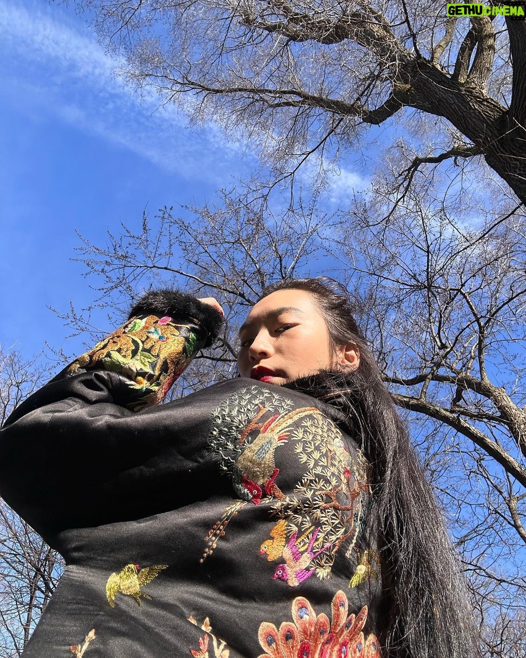 Amanda Zhou Instagram – Happy Lunar New Year! ———> for more ️ Vibing in ...