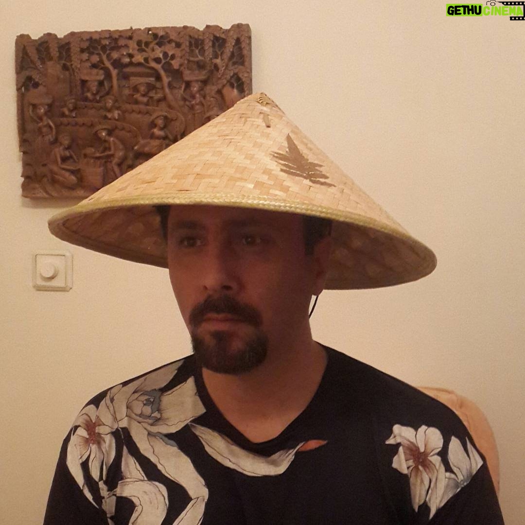 Aziz Kedi Instagram – – hoşgeldiniz. şikayetiniz nedir ...