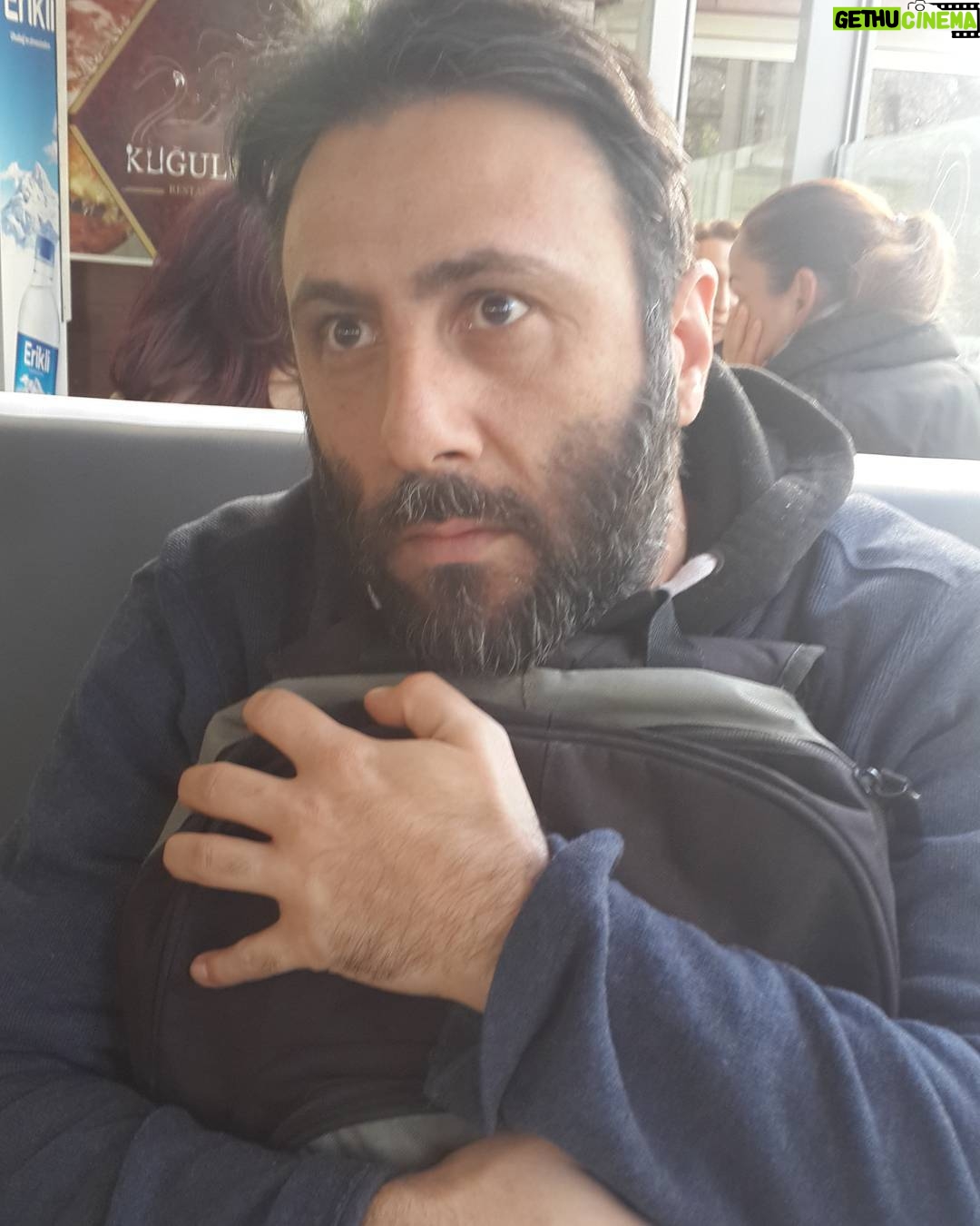 Aziz Kedi Instagram – en sevdiğim özelliğim açgözsüzlüğüm. | Gethu Cinema