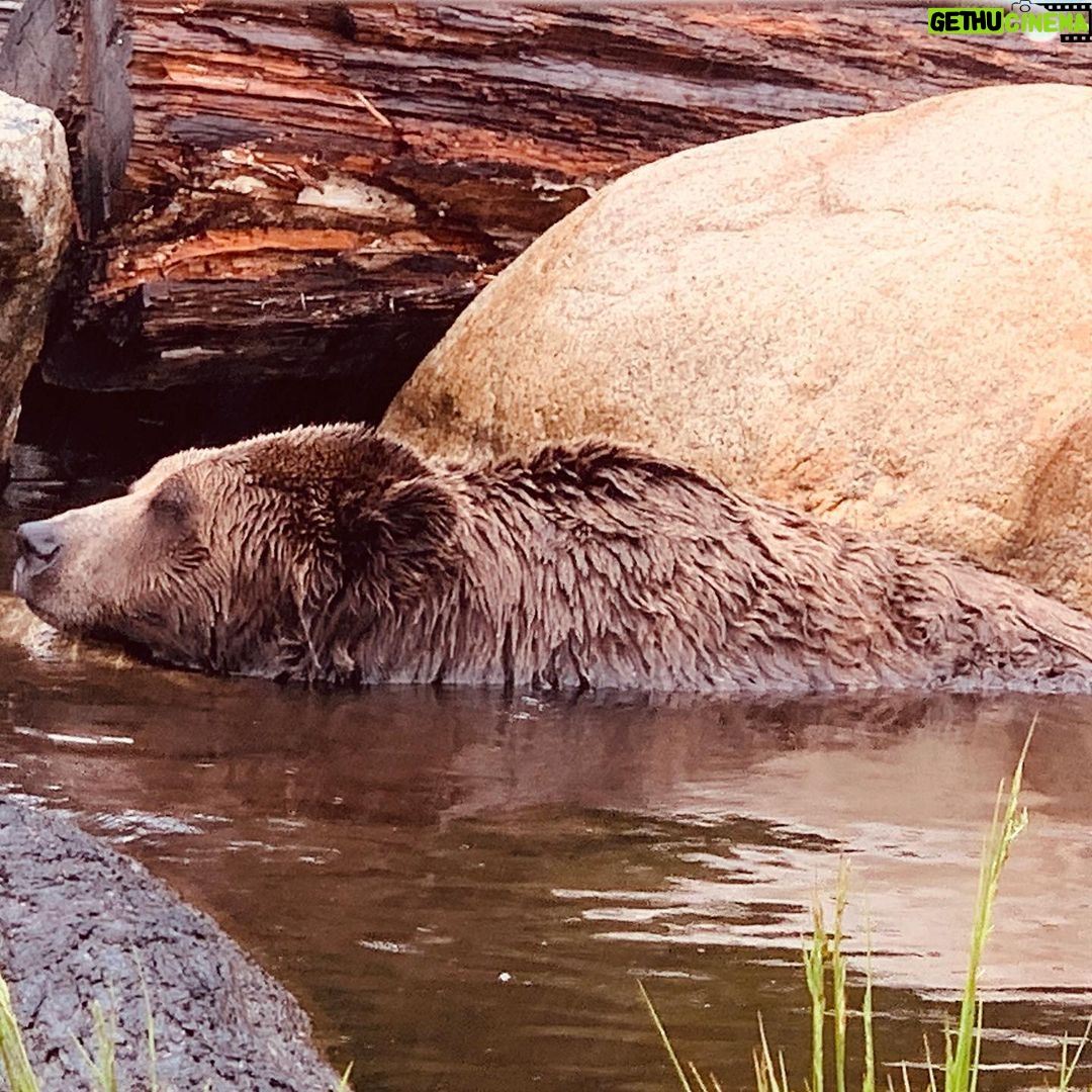 Benjamin Evan Ainsworth Instagram – Adventure up a mountain. 🐻🌲⛰ ...